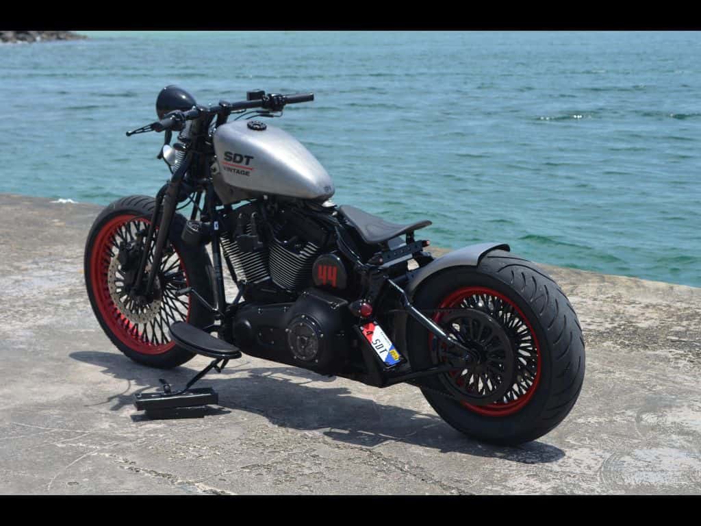 SPRINGER "SDT" | Lord Drake Kustoms